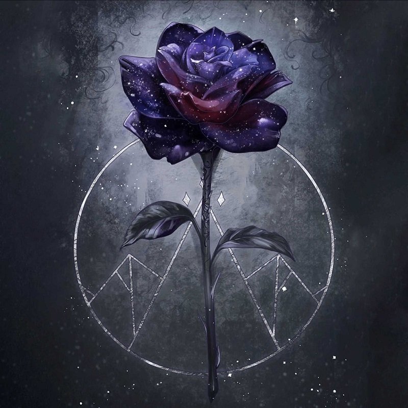 Dark Rose Fragrance Oil For Candle & Soap Making | V Candles
