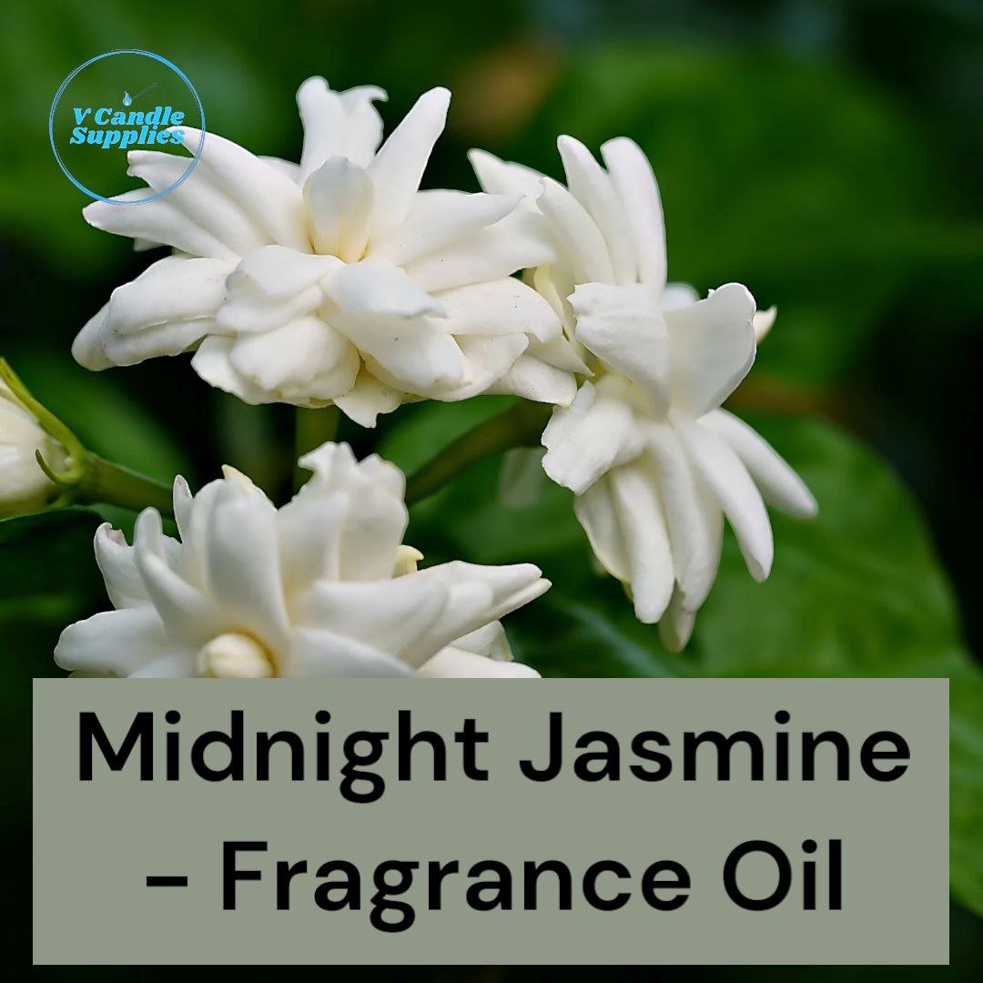 Midnight Jasmine Fragrance Oil - For Candle, Soap & Cosmetic
