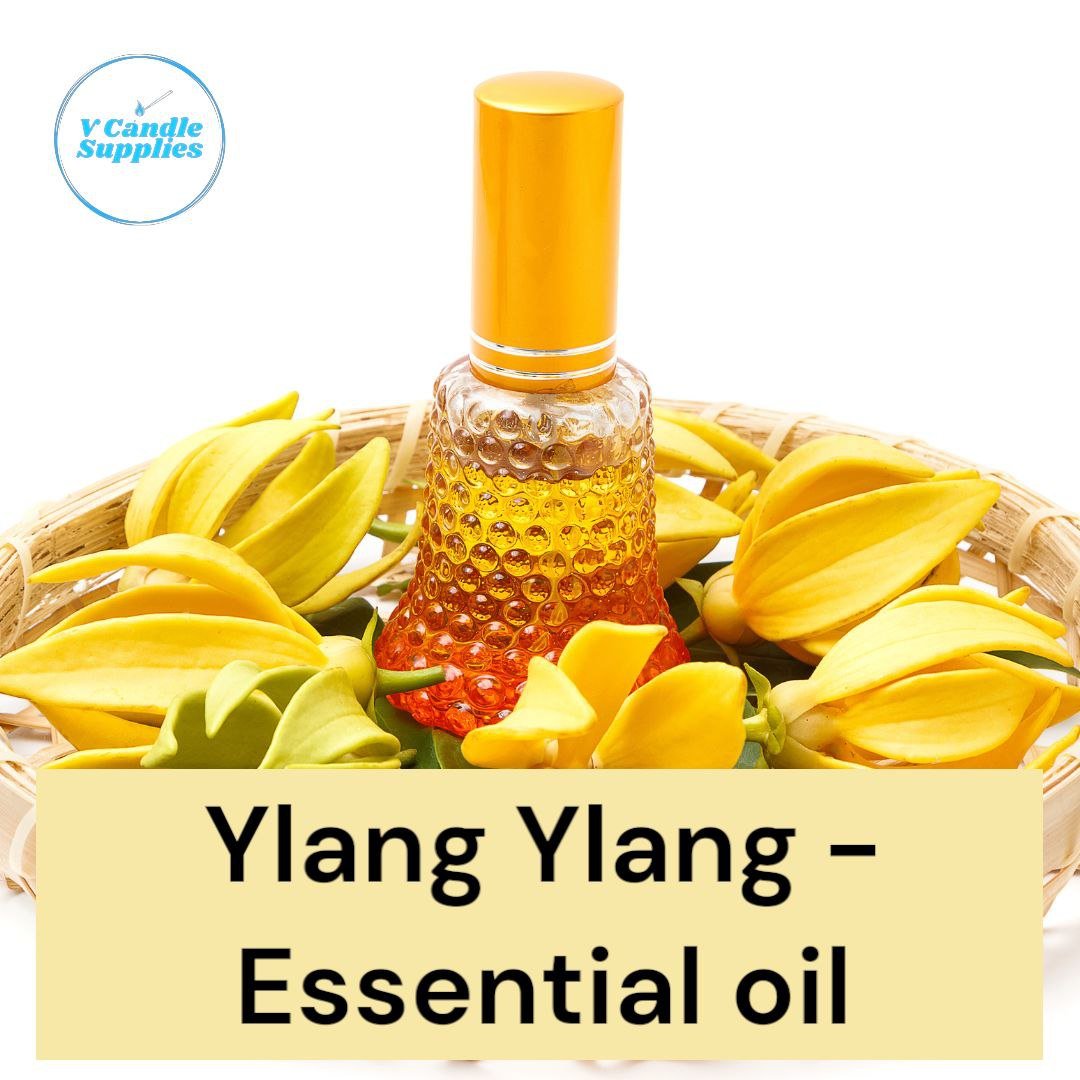 Essential Oils Blend: 10 Best Combination For Scent
